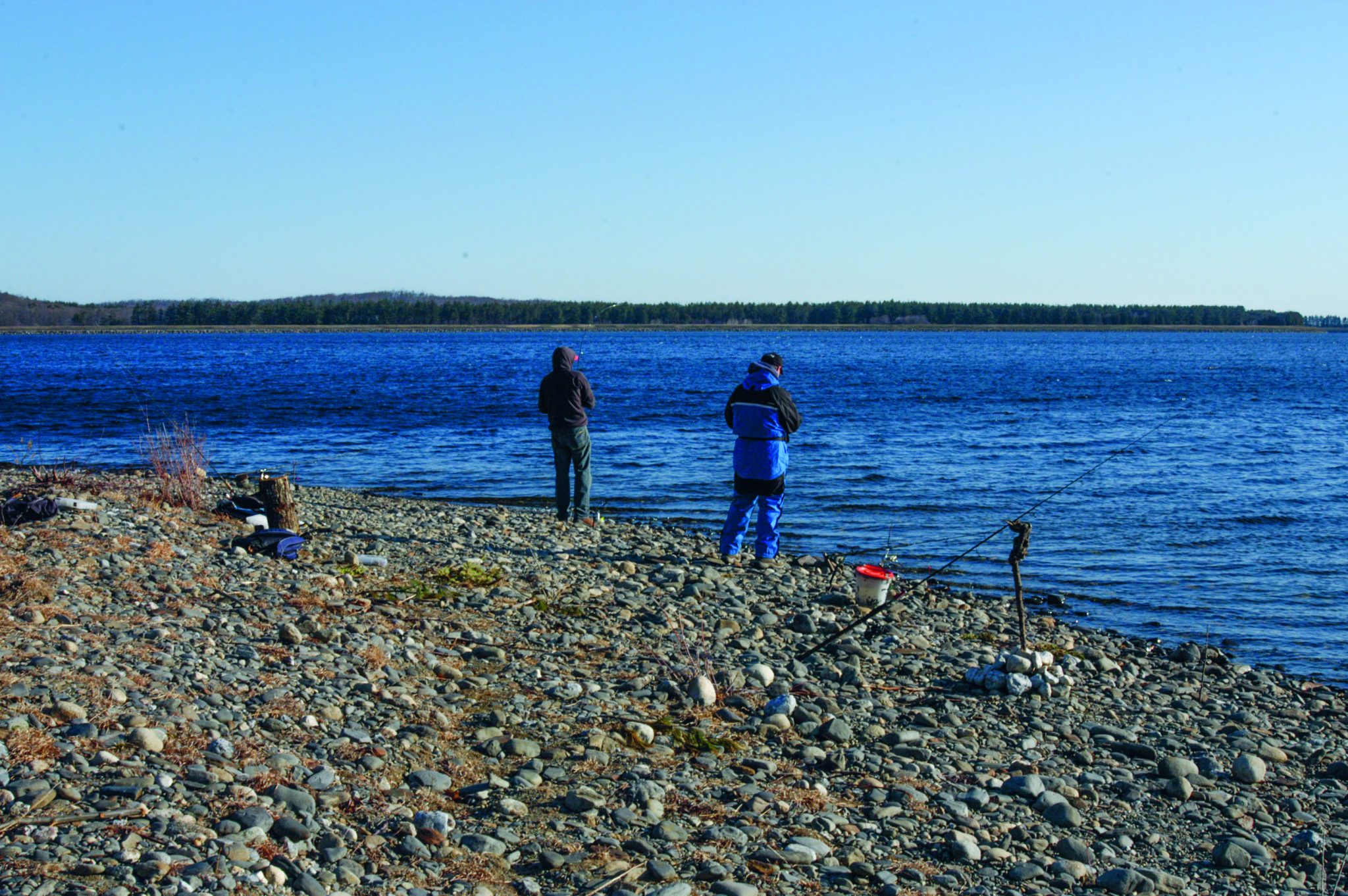 The Lake Trout of Wachusett Reservoir - On The Water