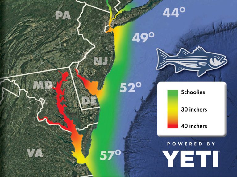 On The Water - The Angler's Guide to the Northeast