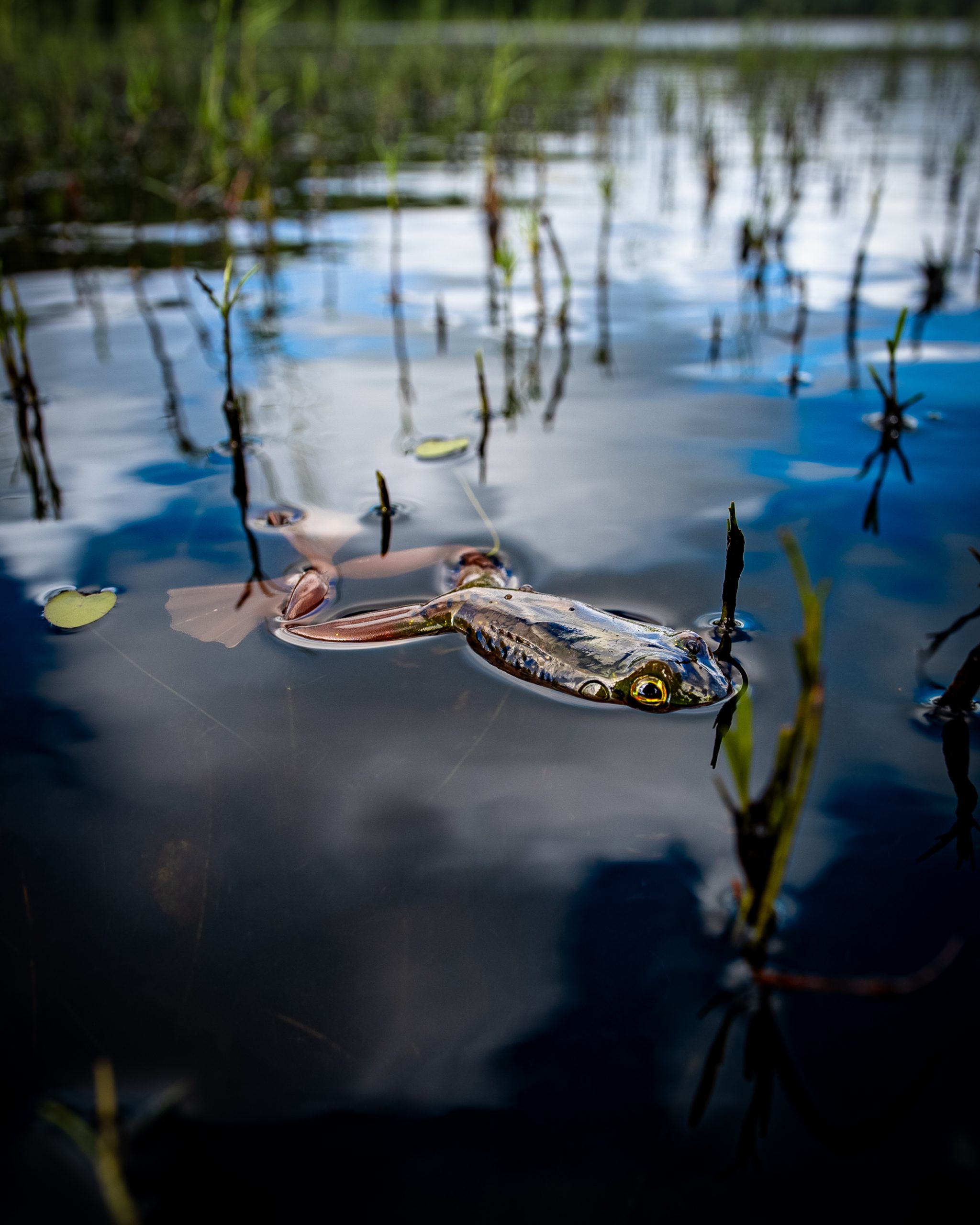 Dock Fishing 101: Baits, Strategies & Etiquette - On The Water