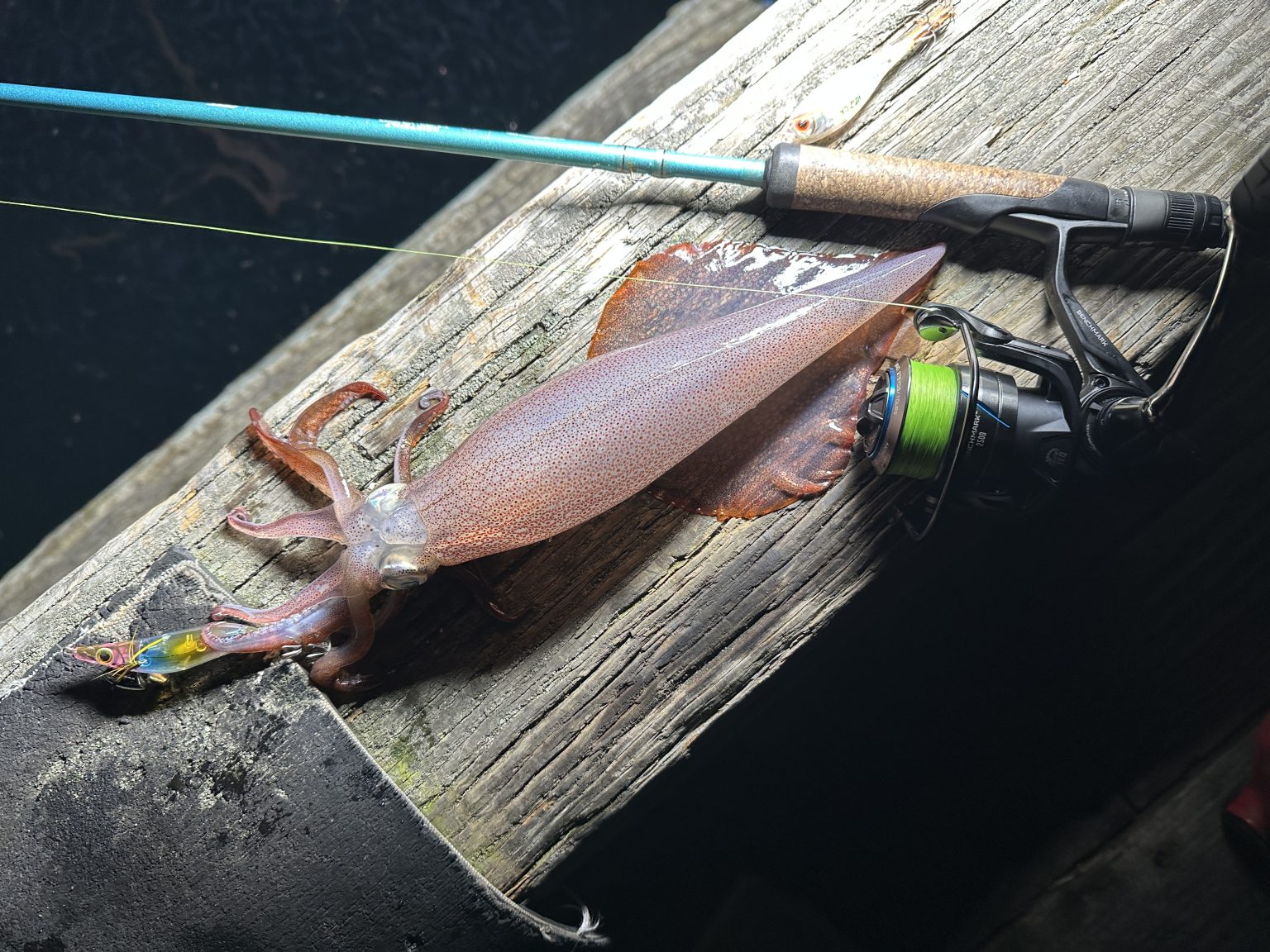 Best Squid Run in Years in Southern New England - On The Water