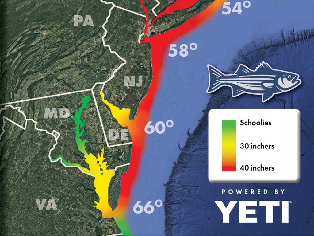 Striper Migration Map Archives - On The Water