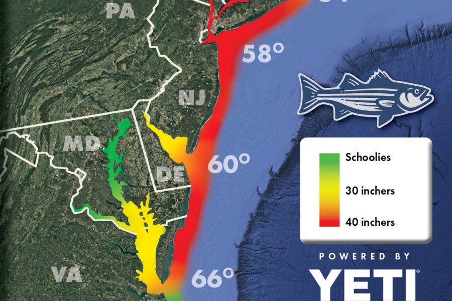 Striper Migration Map – May 23, 2025 - On The Water