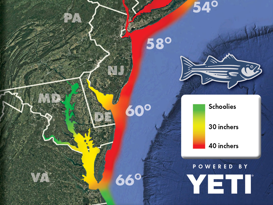Striper Migration Map – May 23, 2025 - On The Water