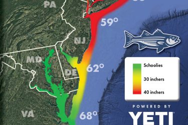 Striper Migration Map - May 30, 2025 - On The Water