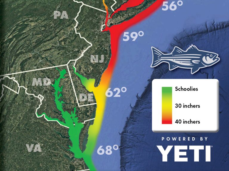 Striper Migration Map - May 30, 2025 - On The Water