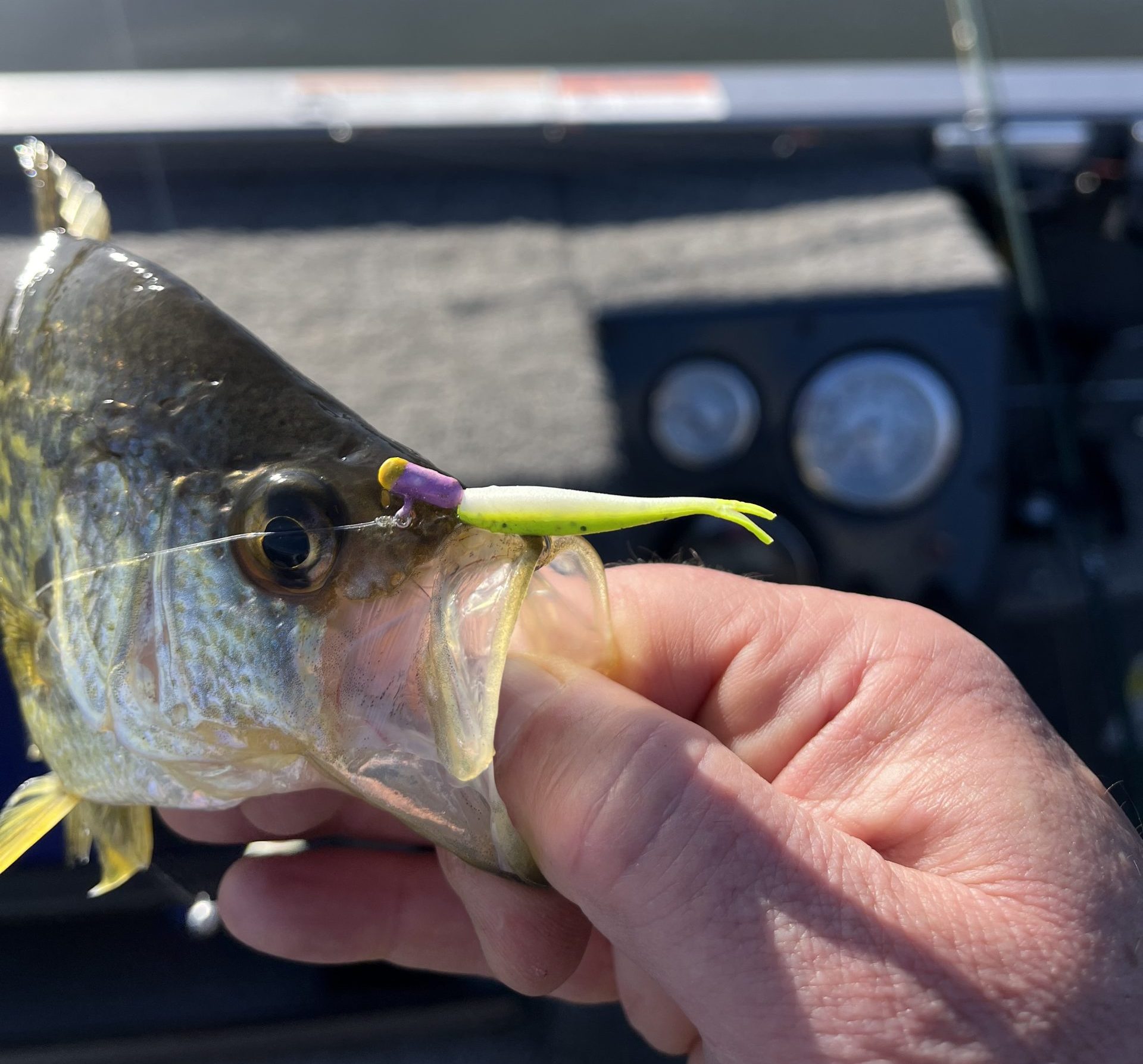 What's Biting in May in New Hampshire and Vermont? - On The Water