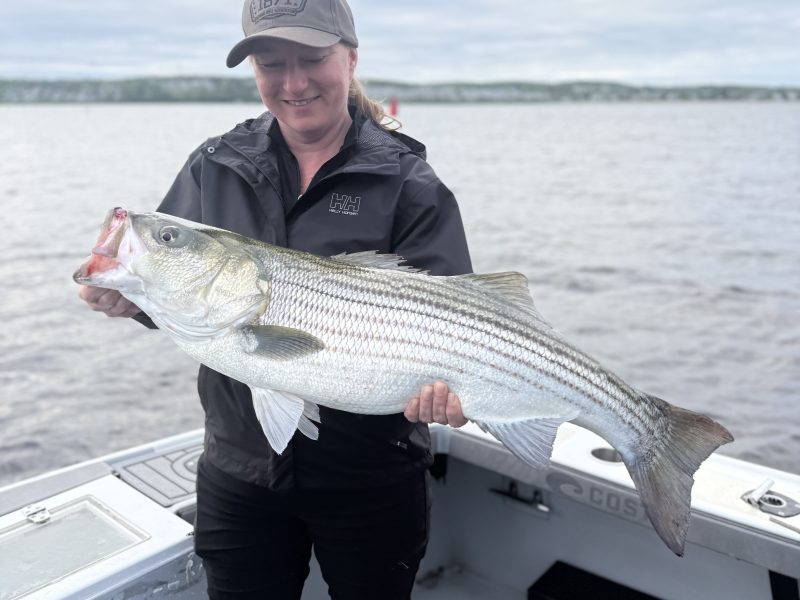 Rhode Island Fishing Reports