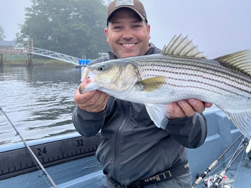 Torrie wilson big tits non-exclusive, she's closer to a TG