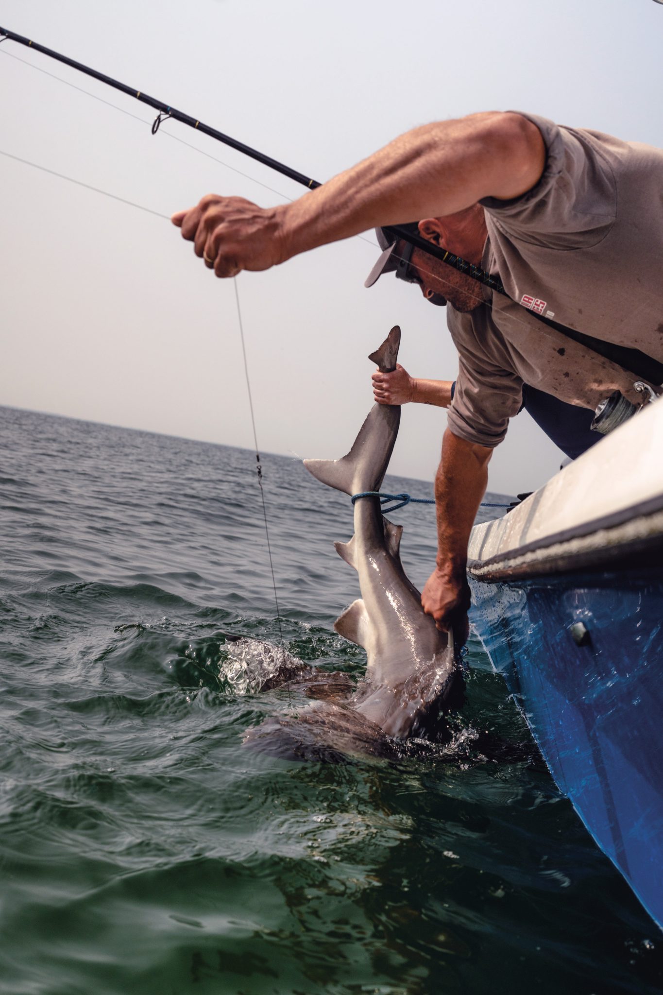 Studying the Sandbar Sharks of Nantucket - On The Water