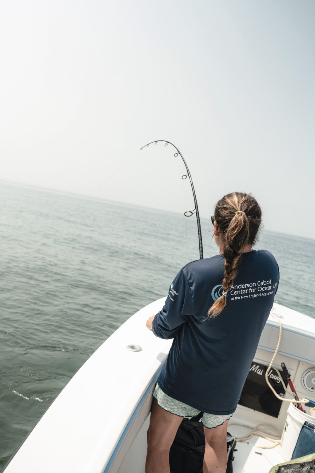 Studying the Sandbar Sharks of Nantucket - On The Water