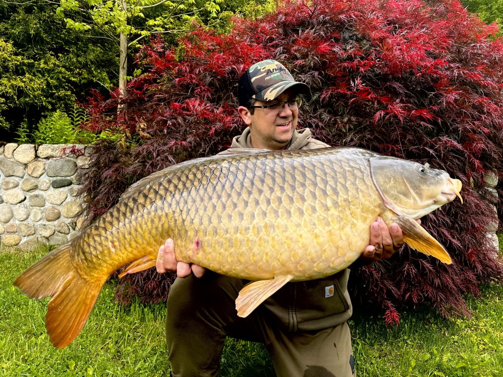 Angler Lands Largest Freshwater Fish Ever Recorded in Connecticut - On ...