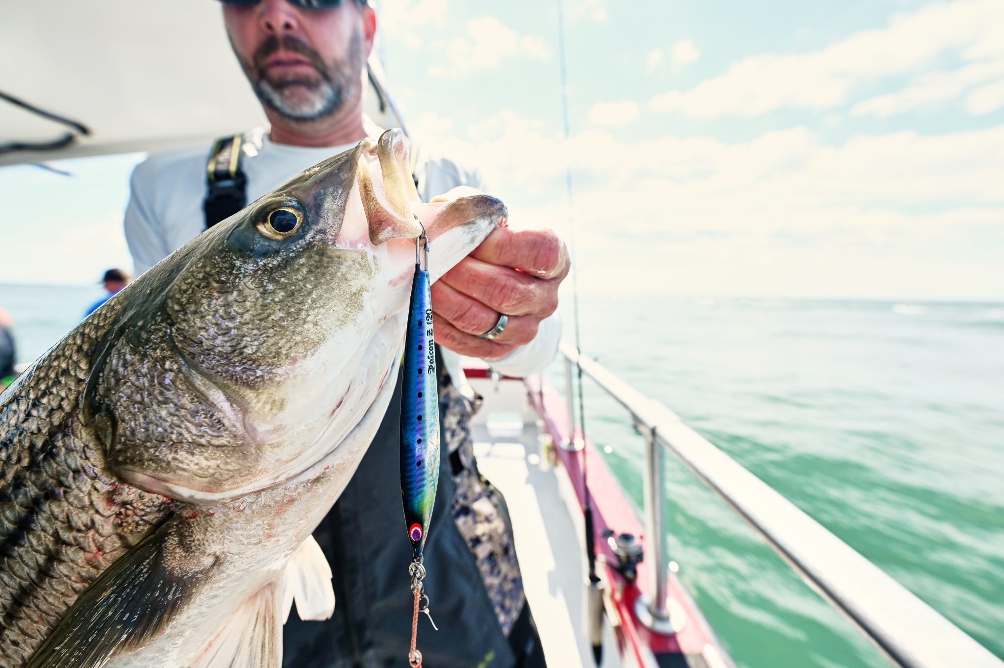 Expecting More Sharks, Albies, & Weakfish in Connecticut in 2026