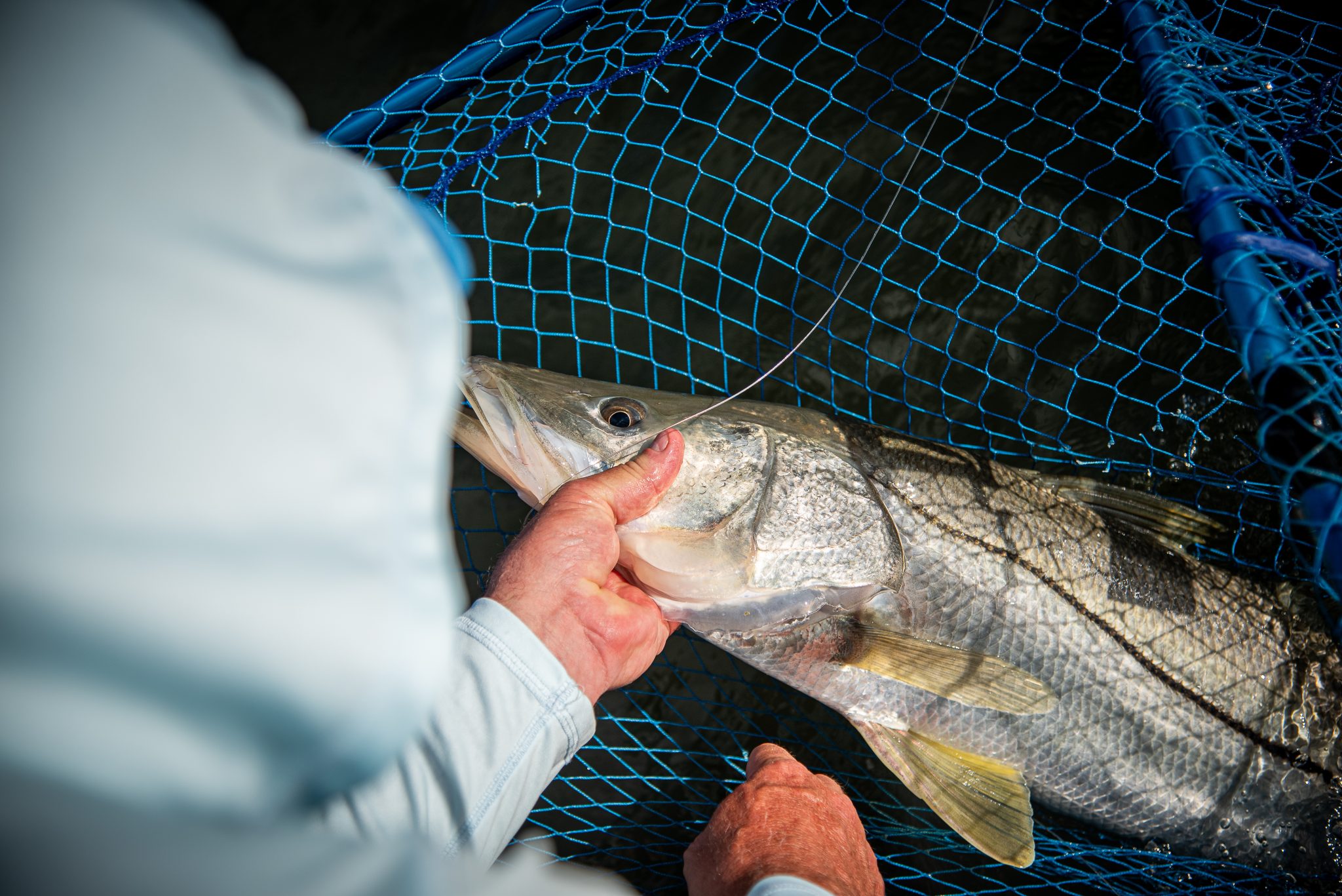 The NEW Quantum Cabo - On The Water