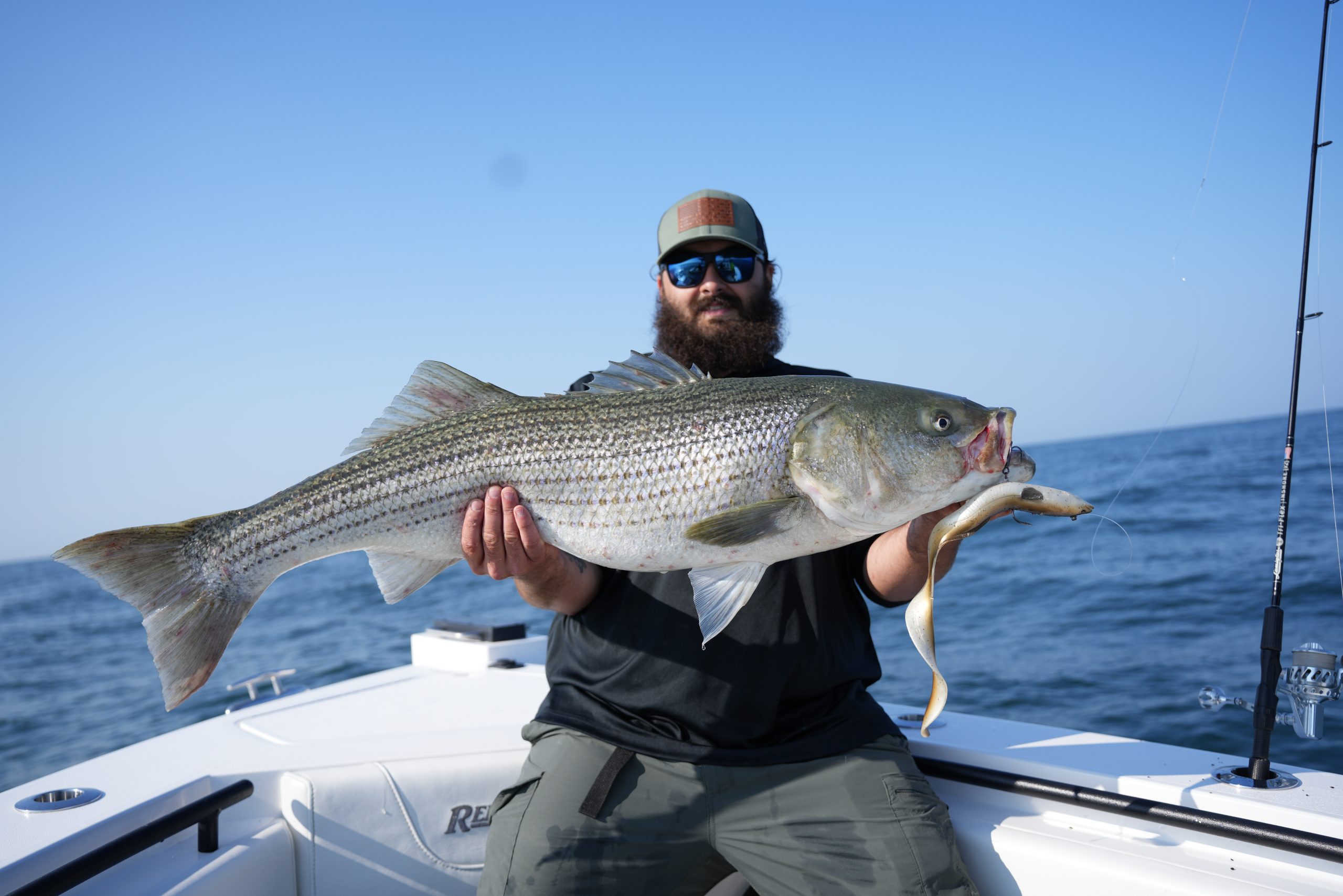 Public Hearings on Striped Bass Management Scheduled - On The Water