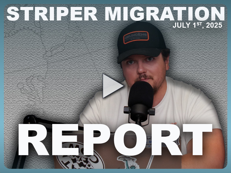 Striper Migration Map Archives - On The Water