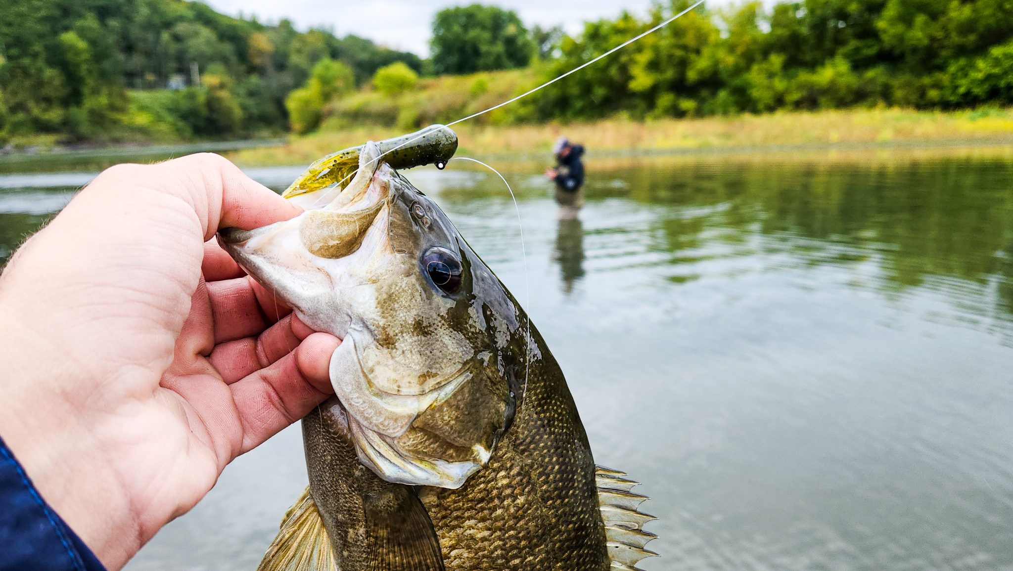 Creek Fishing for Summer Smallmouth - On The Water