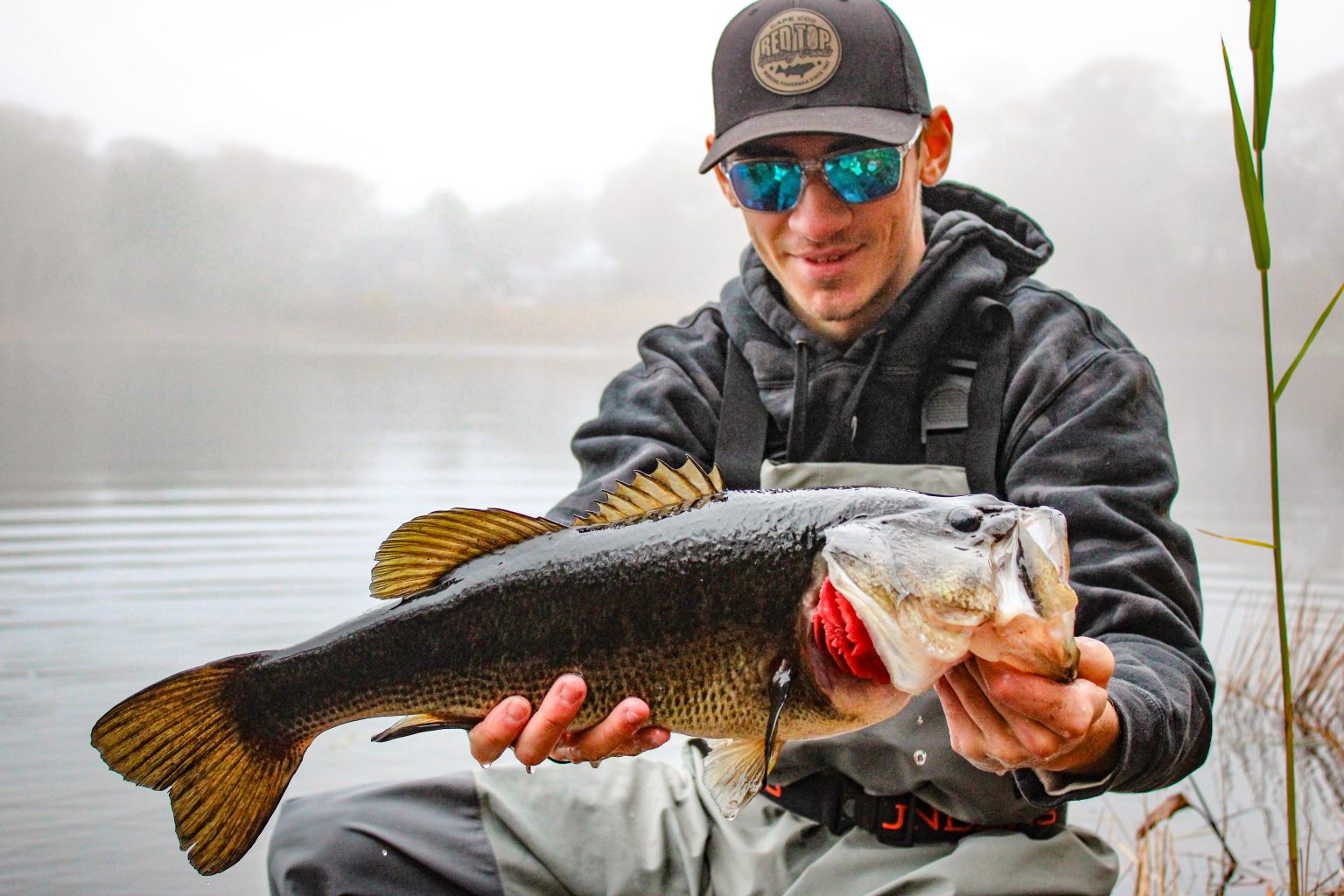7 Baits for Fall Bass Fishing - On The Water