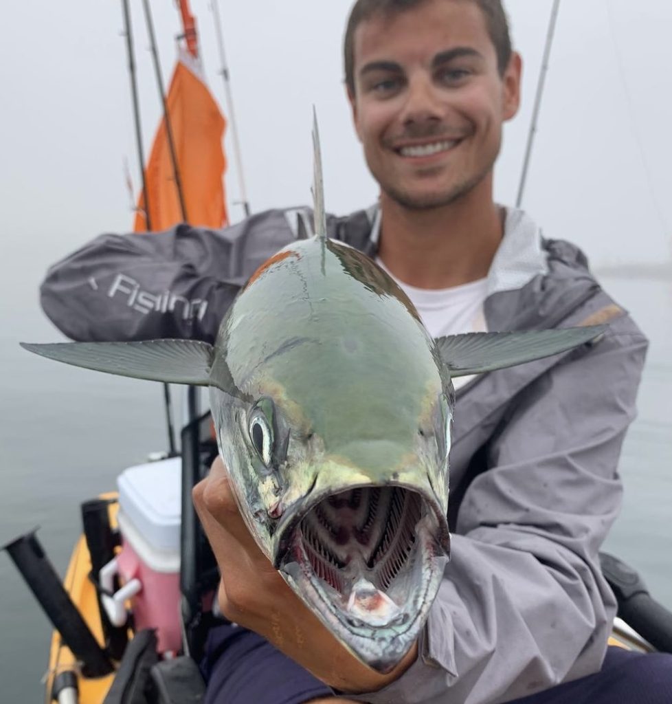 How to Catch Albies in Rhode Island - On The Water