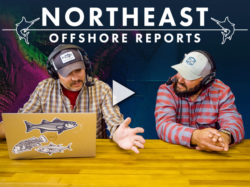 Northeast Offshore Report - September 5, 2025 - On The Water
