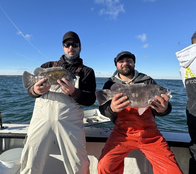 Cape Cod Fishing Report- November 20, 2025 - On The Water