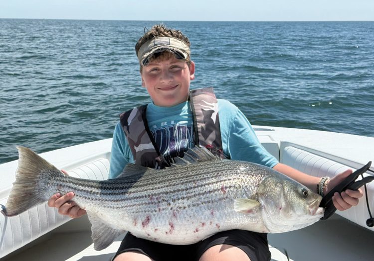 Expecting More Sharks, Albies, & Weakfish in Connecticut in 2026